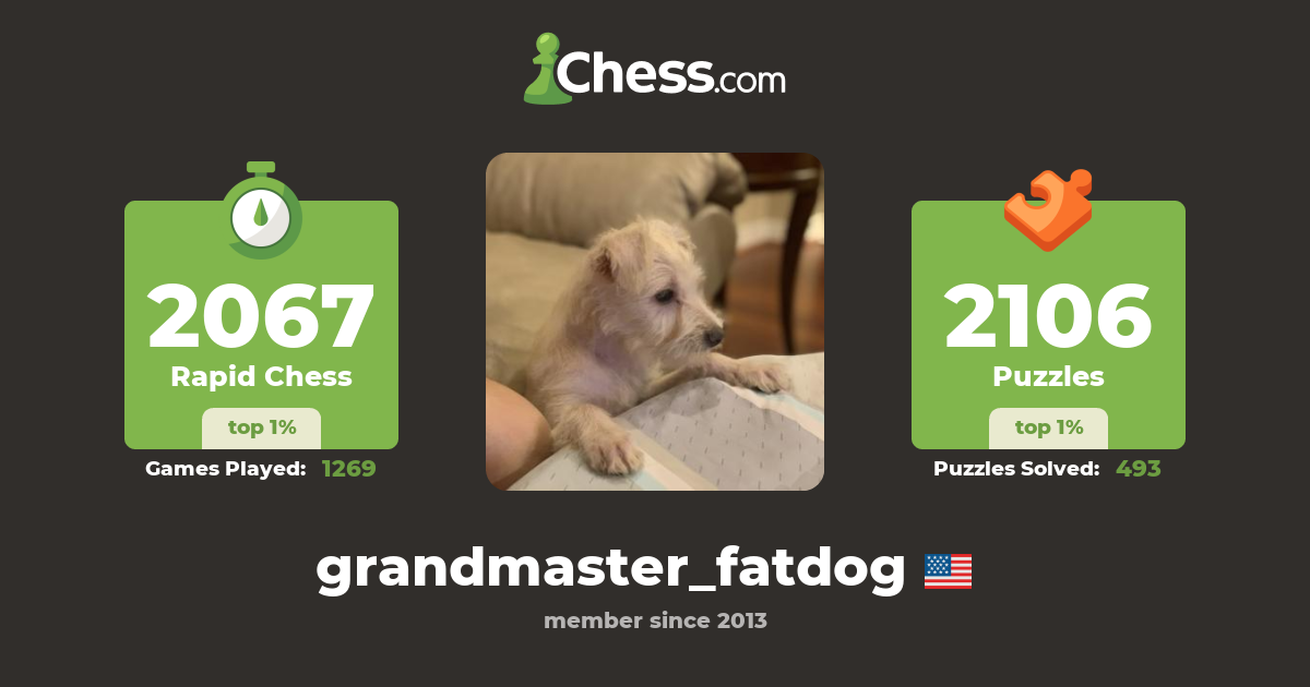 Fat Dog (grandmaster_fatdog) - Chess Profile - Chess.com