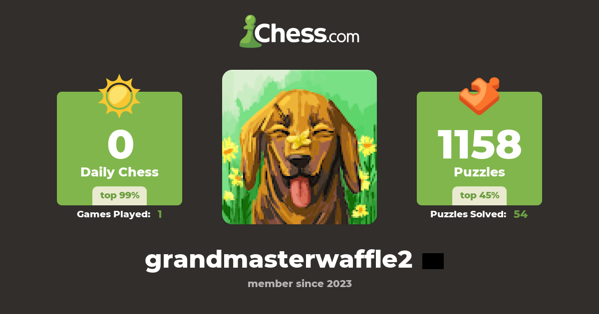 Maxwell Chung (grandmasterwaffle2) - Chess Profile - Chess.com