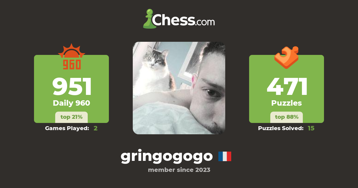 gringogogo - Chess Profile - Chess.com