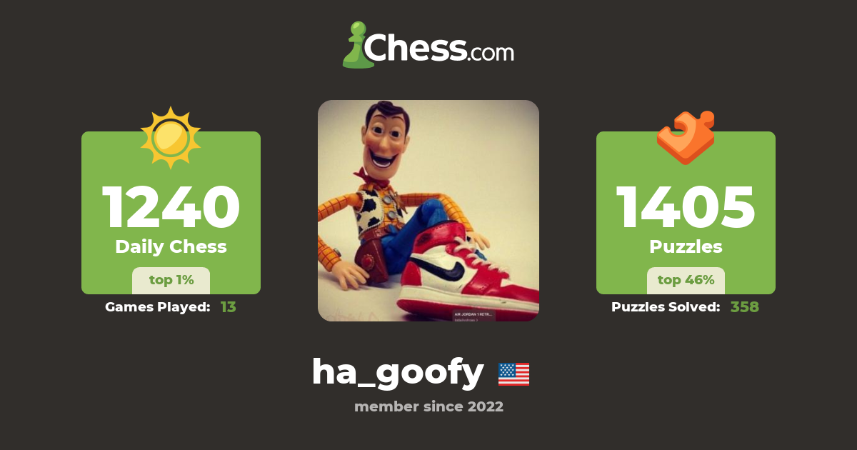 ha_goofy - Chess Profile - Chess.com