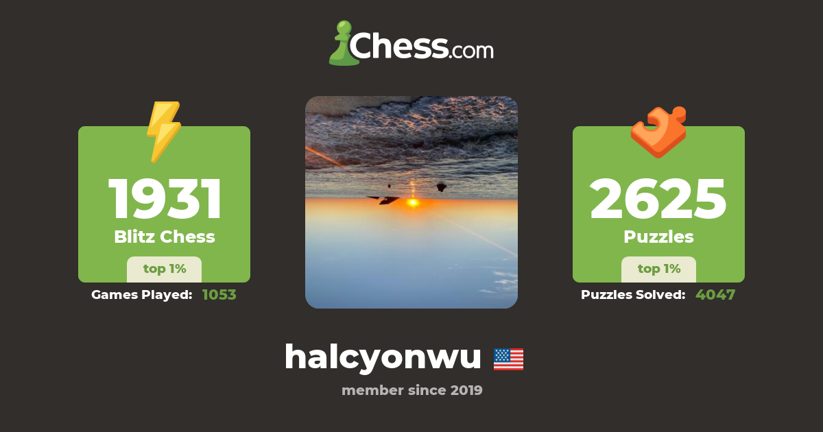 chesslover (halcyonwu) - Chess Profile - Chess.com
