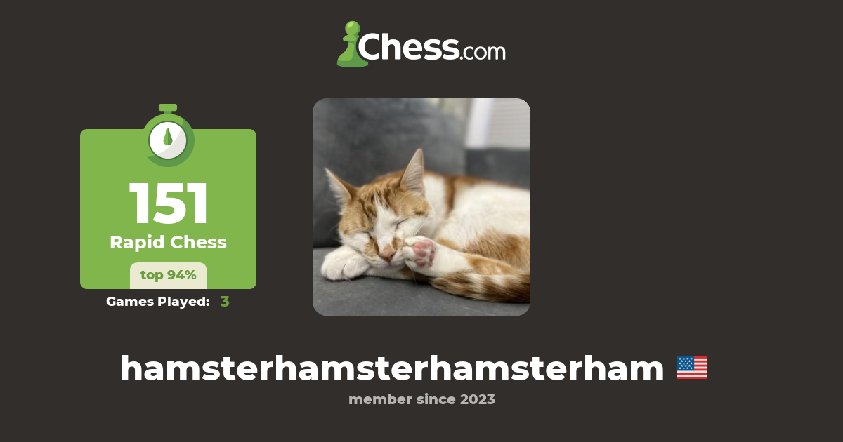 hamster ___________ (hamsterhamsterhamsterham) - Chess Profile - Chess.com
