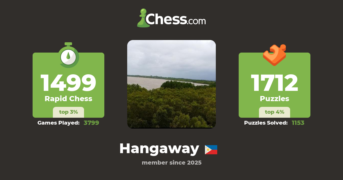 Hangaway - Chess Profile - Chess.com