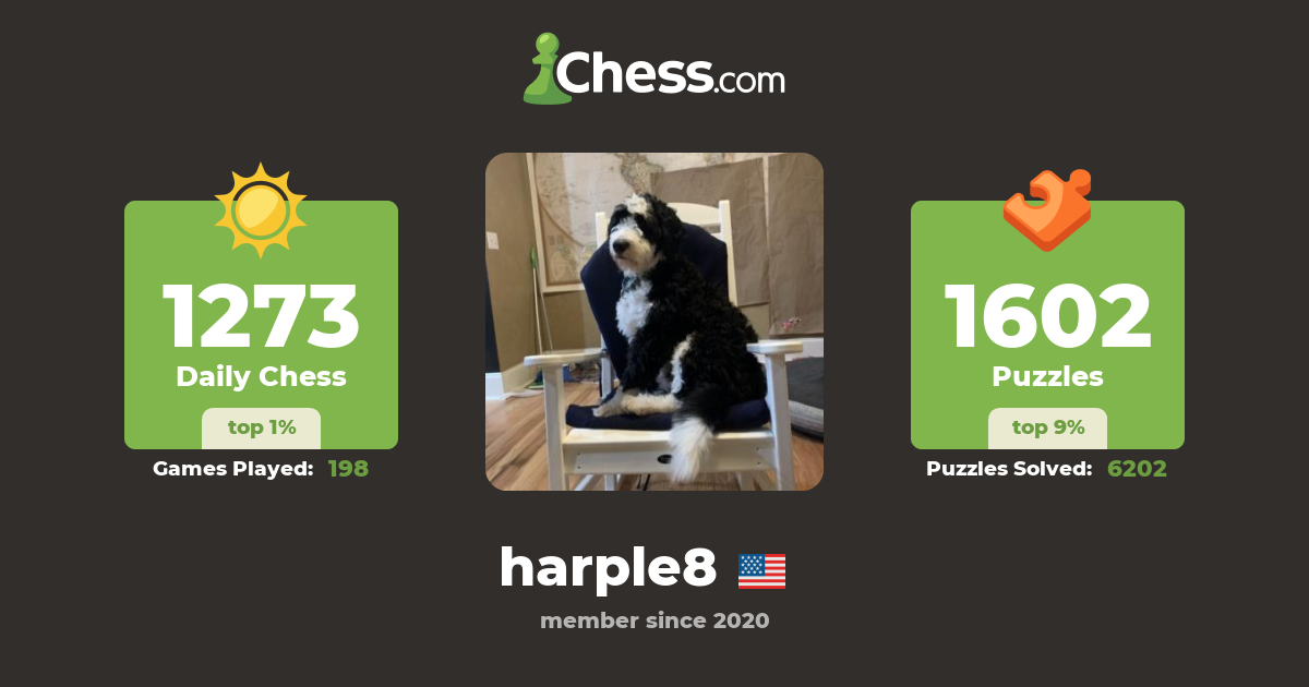harple8 - Chess Profile - Chess.com