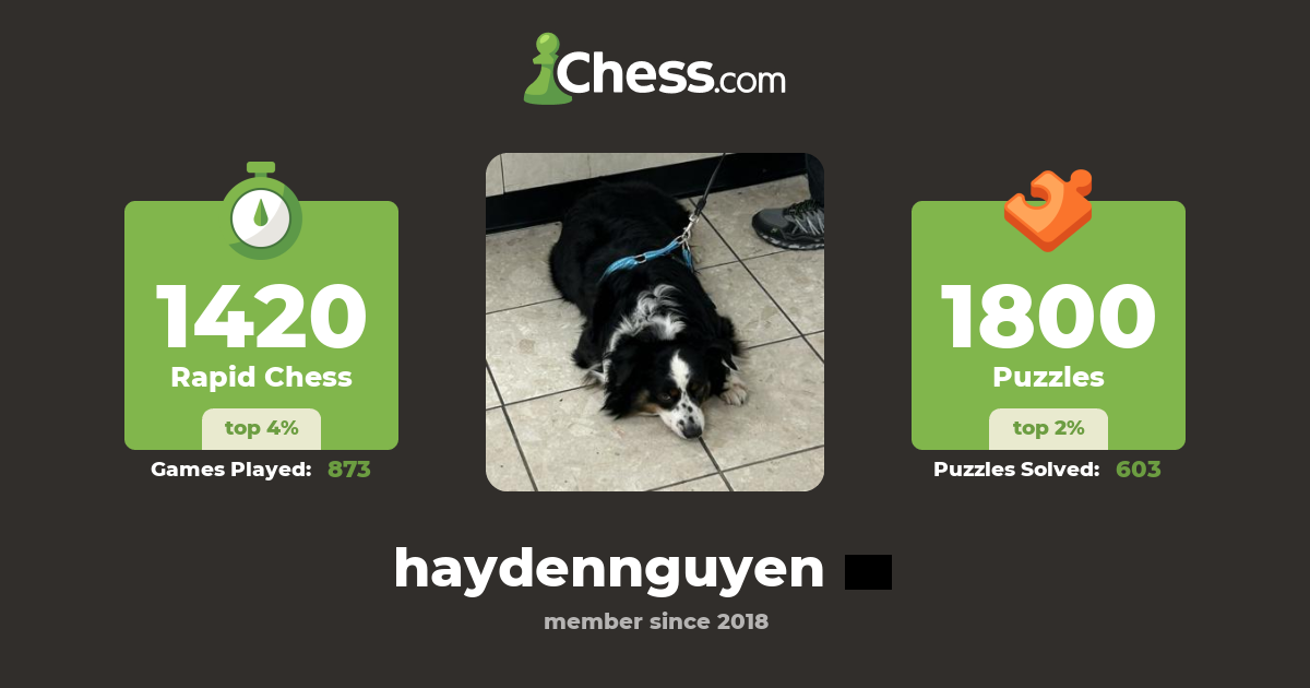 Hayden Nguyen (haydennguyen) - Chess Profile - Chess.com