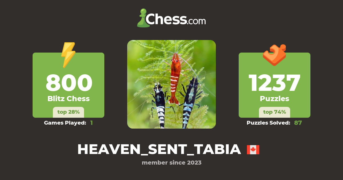 HEAVEN TABIA (HEAVEN_SENT_TABIA) - Chess Profile - Chess.com