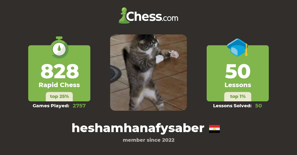 Hesham Hanafy (heshamhanafysaber) - Chess Profile - Chess.com