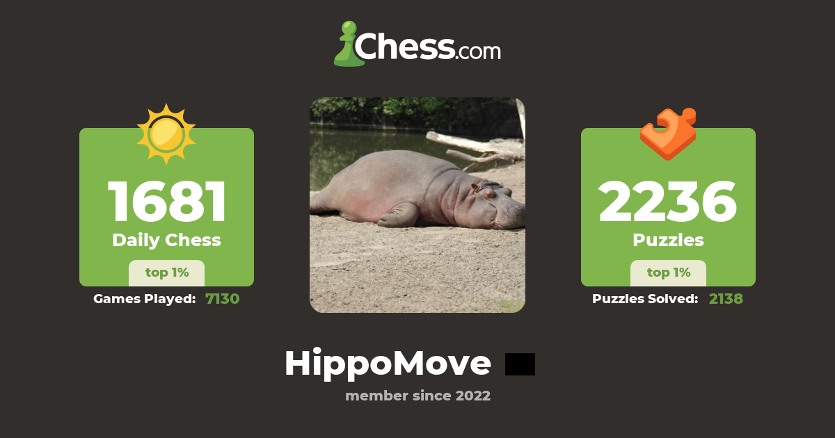 HippoMove - Chess Profile - Chess.com