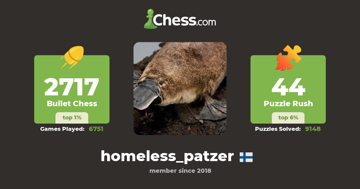 NM Eddie Xu (homeless_patzer) - Chess Profile - Chess.com
