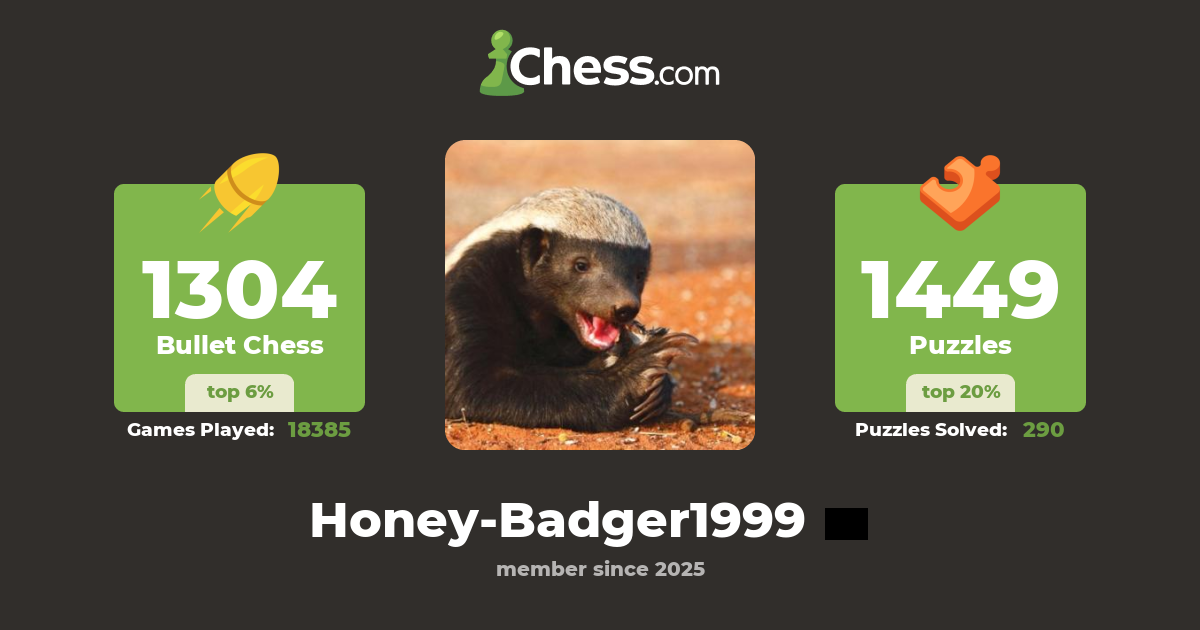 Дмитрий Землянский (Honey-Badger1999) - Chess Profile - Chess.com