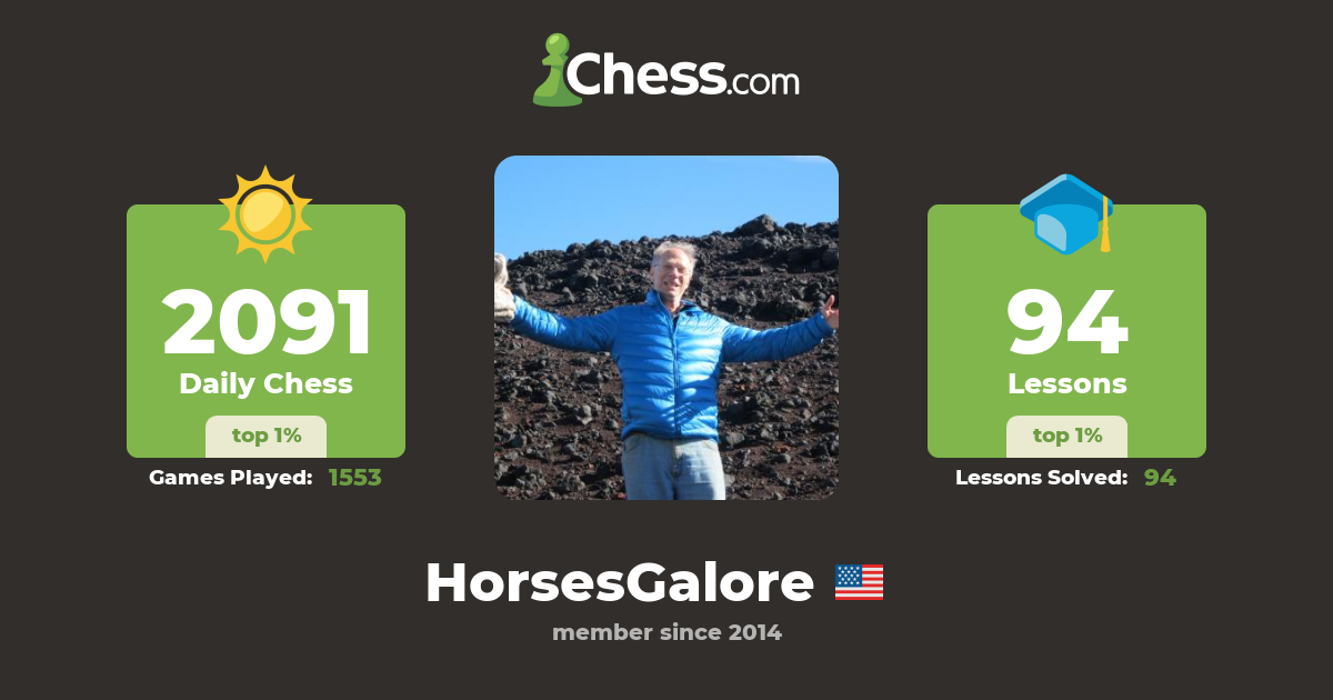NM Laurence Epstein (HorsesGalore) - Chess Profile - Chess.com