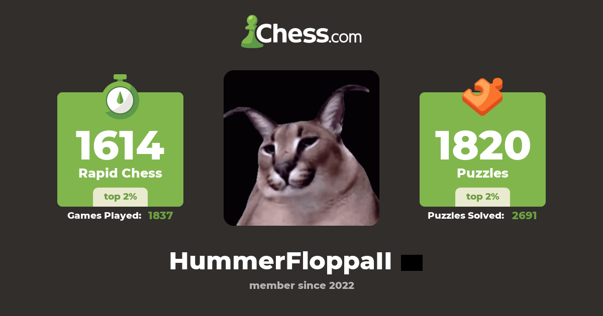 Hummer Floppa II. (HummerFloppaII) - Chess Profile - Chess.com