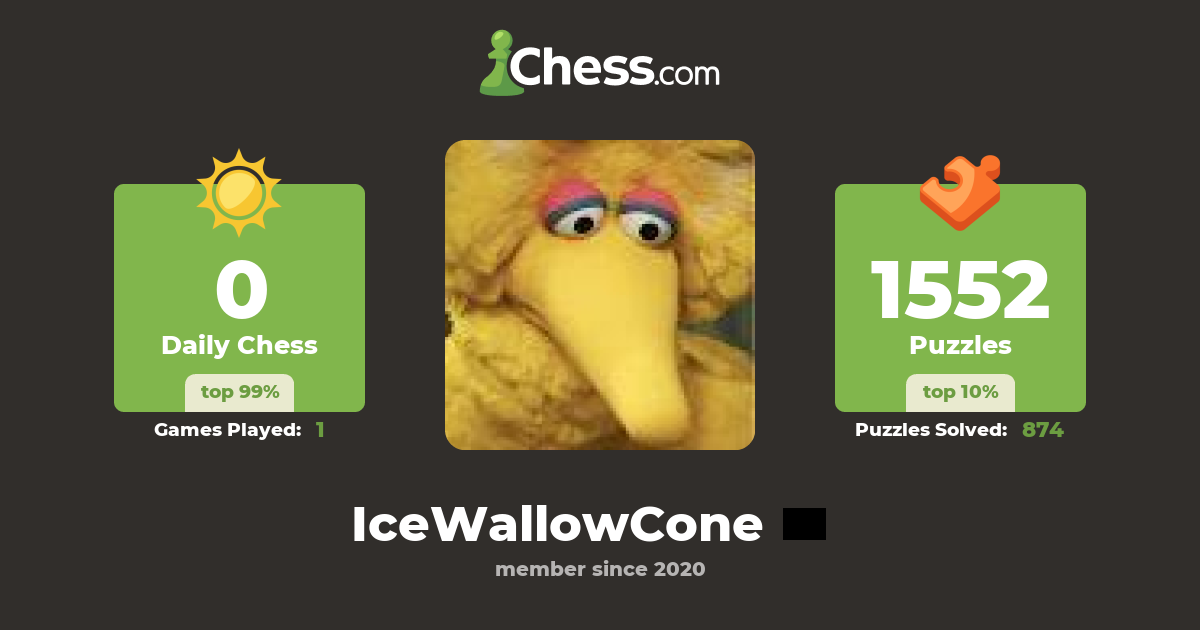 BigBirdIsVerySad We’re all sad (IceWallowCone) - Chess Profile - Chess.com