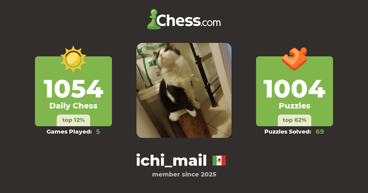 ichi_mail - Chess Profile - Chess.com