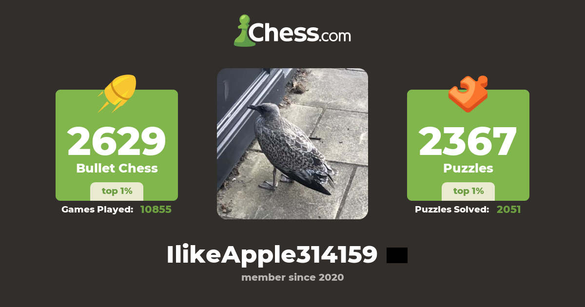 CM Aaron Rich (IlikeApple314159) - Chess Profile - Chess.com