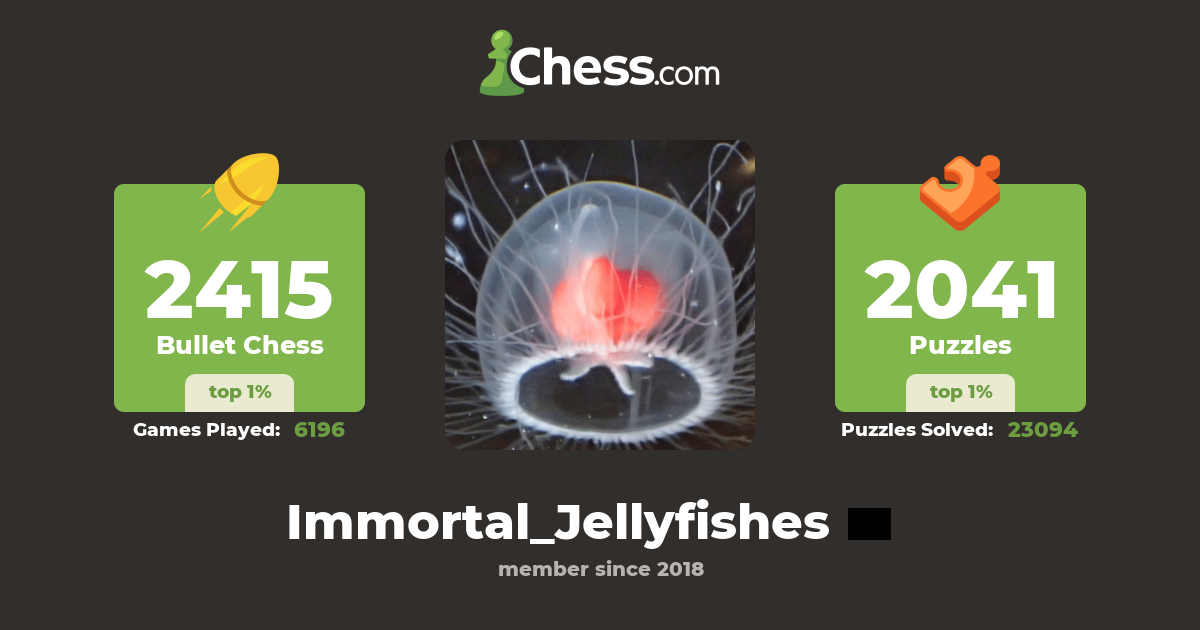 Austin Jin (Immortal_Jellyfishes) - Chess Profile - Chess.com