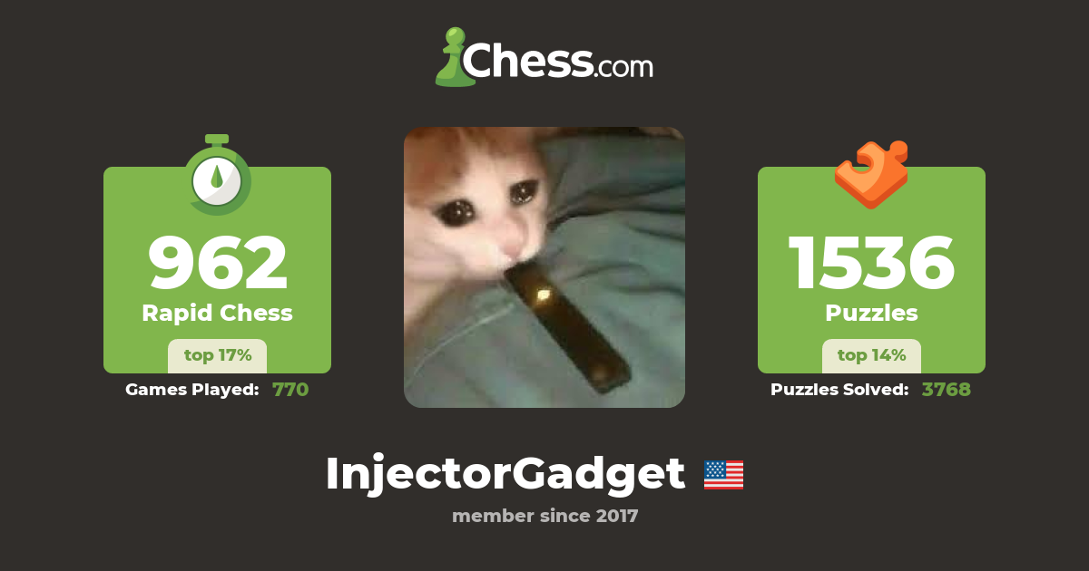 InjectorGadget - Chess Profile - Chess.com