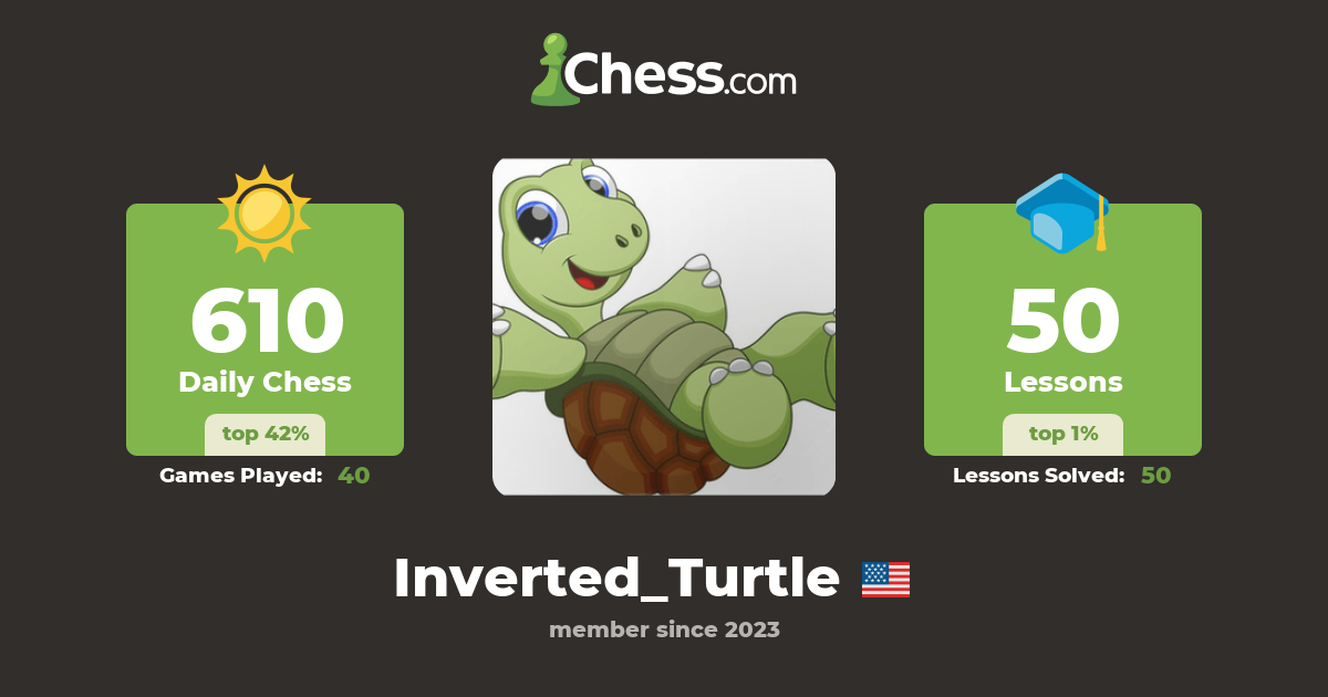 Jon Vincello (Inverted_Turtle) - Chess Profile - Chess.com