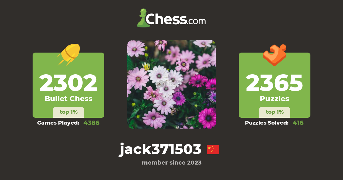jack371503 - Chess Profile - Chess.com