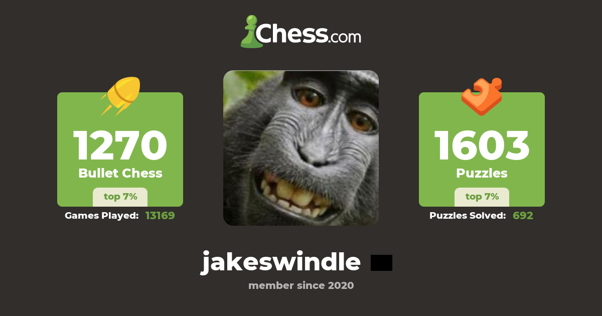 jakeswindle - Chess Profile - Chess.com