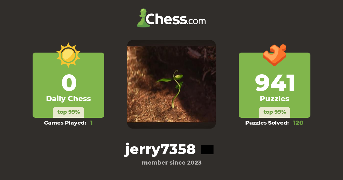 jerry7358 - Chess Profile - Chess.com