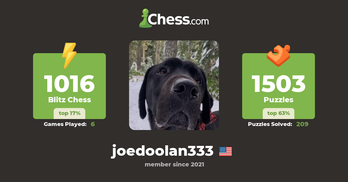 Joe Doolan (joedoolan333) - Chess Profile - Chess.com
