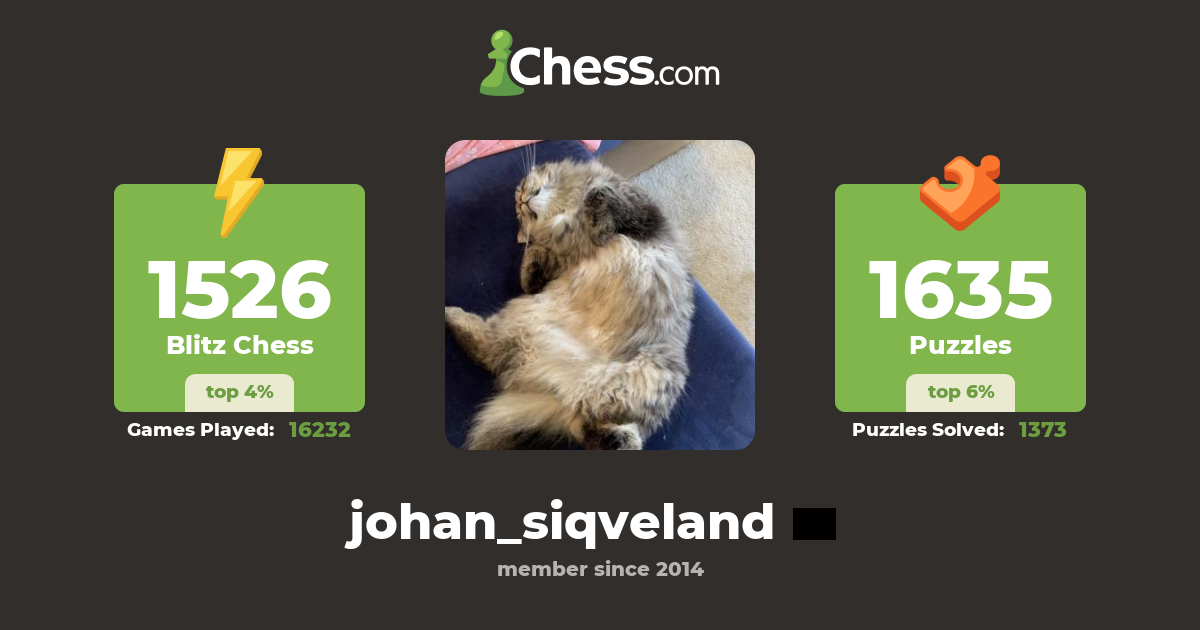Johan Siqveland (johan_siqveland) - Chess Profile - Chess.com