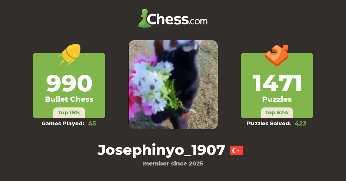 Josephinyo_1907 - Chess Profile - Chess.com