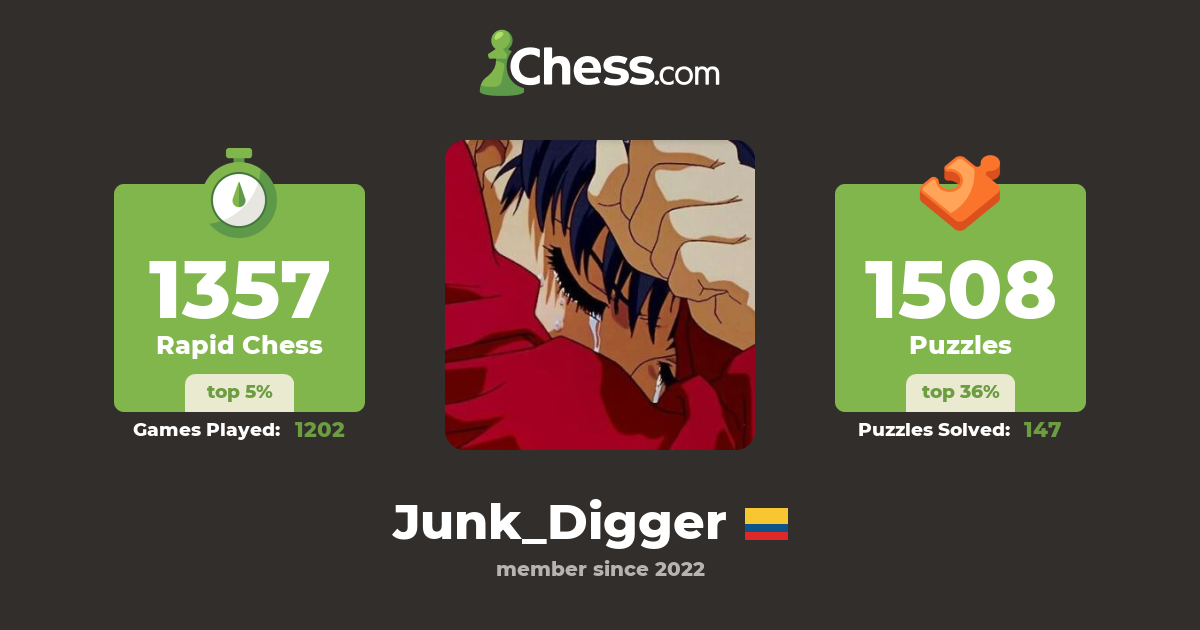 Junk_Digger - Chess Profile - Chess.com