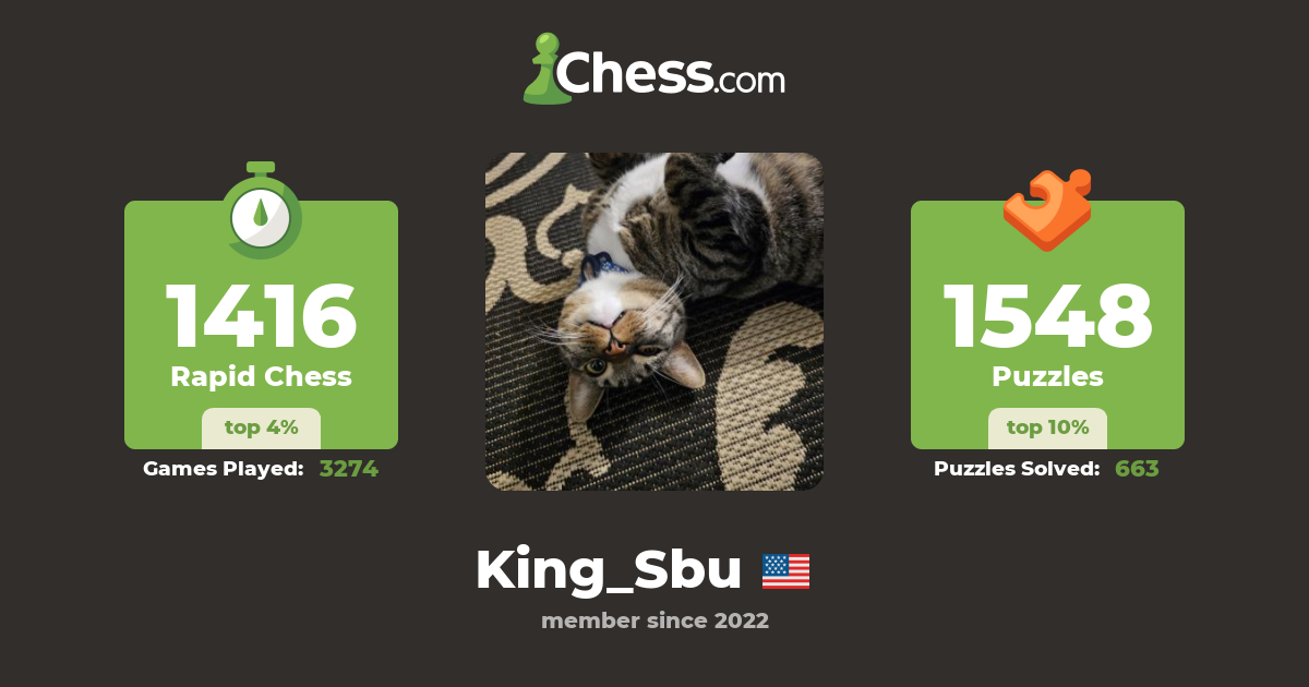 Steve P (King_Sbu) - Chess Profile - Chess.com