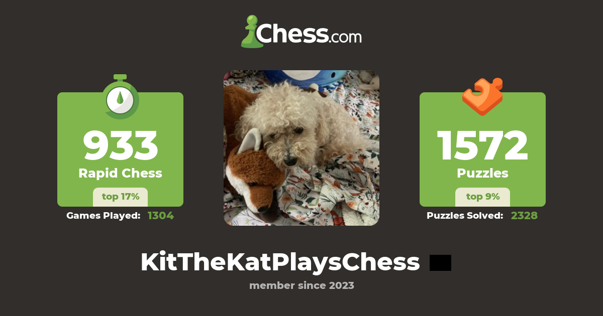Kit Sergeant-Sargent (KitTheKatPlaysChess) - Chess Profile - Chess.com