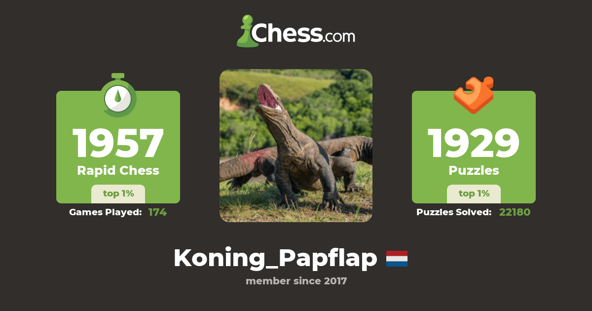 Bram Knoop (Koning_Papflap) - Chess Profile - Chess.com