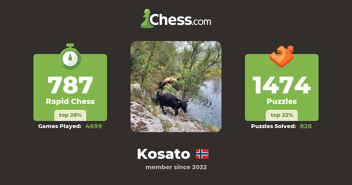 Kosato - Chess Profile - Chess.com