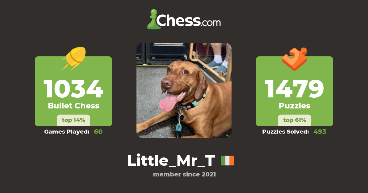 Connor Murphy (Little_Mr_T) - Chess Profile - Chess.com