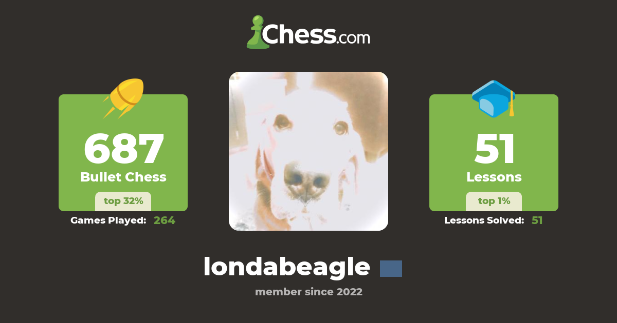 londabeagle - Chess Profile - Chess.com