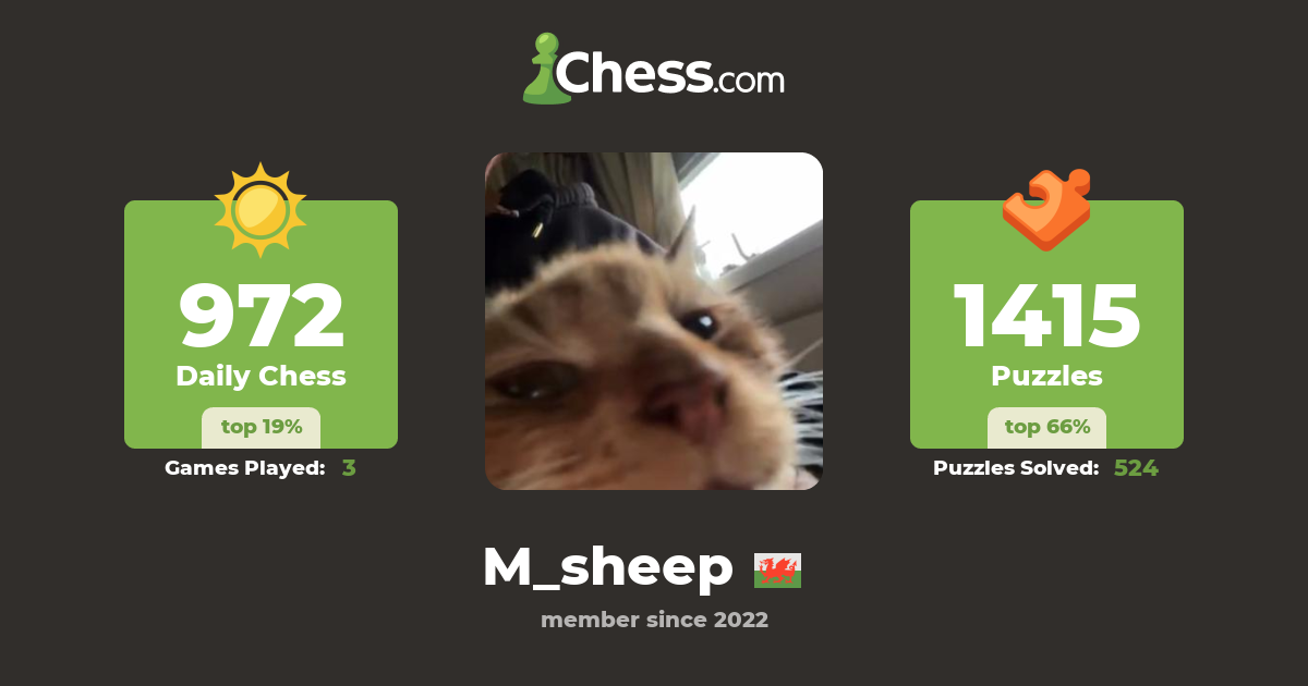 M_sheep - Chess Profile - Chess.com