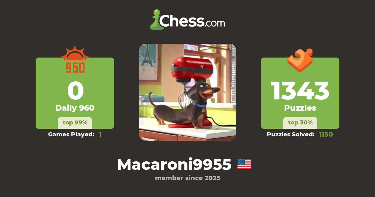 Macaroni9955 - Chess Profile - Chess.com