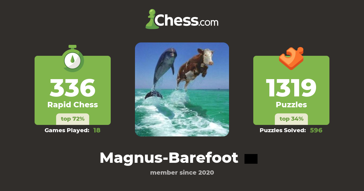 Magnus-Barefoot - Chess Profile - Chess.com