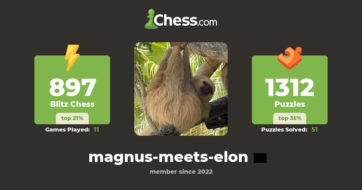 magnus-meets-elon - Chess Profile - Chess.com