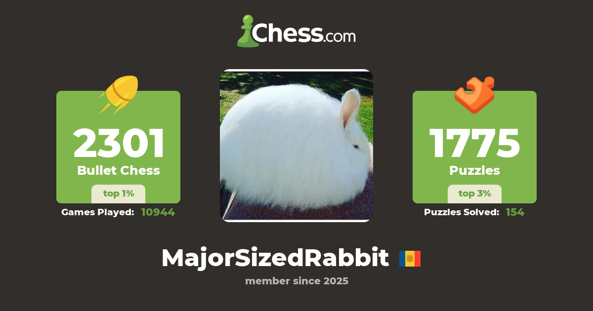 MajorSizedRabbit - Chess Profile - Chess.com