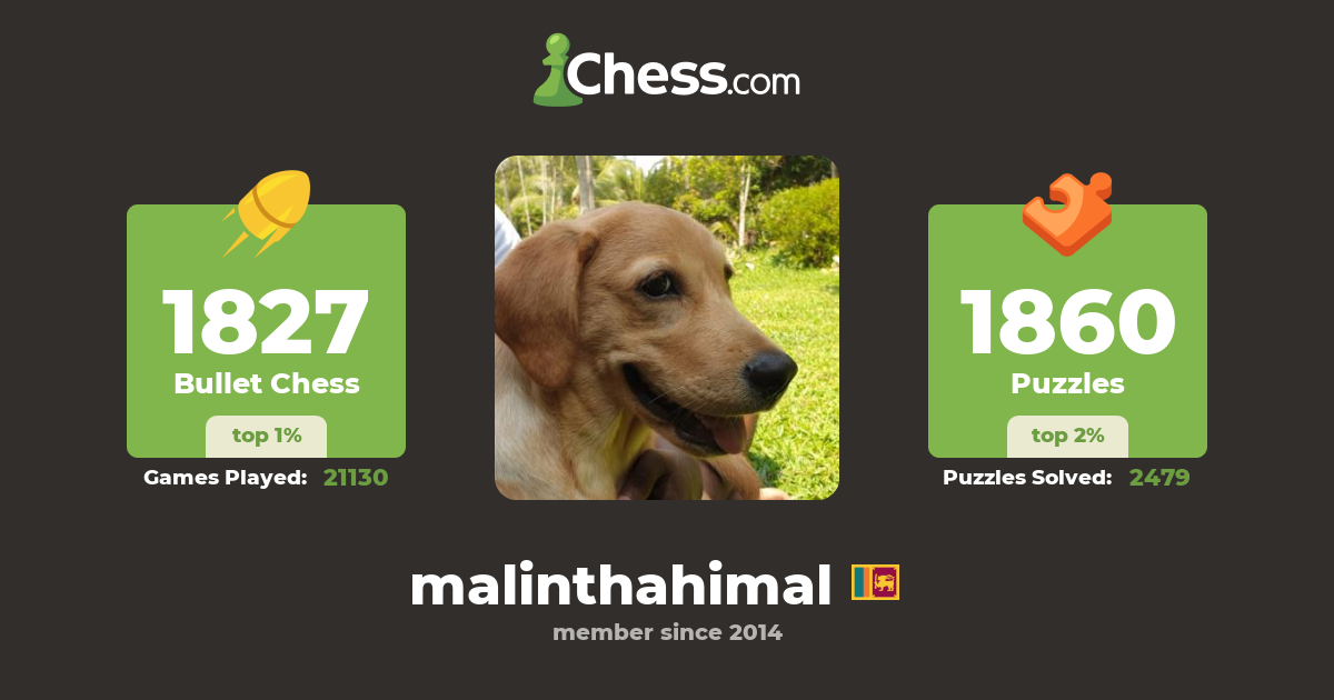Malintha Fernando (malinthahimal) - Chess Profile - Chess.com