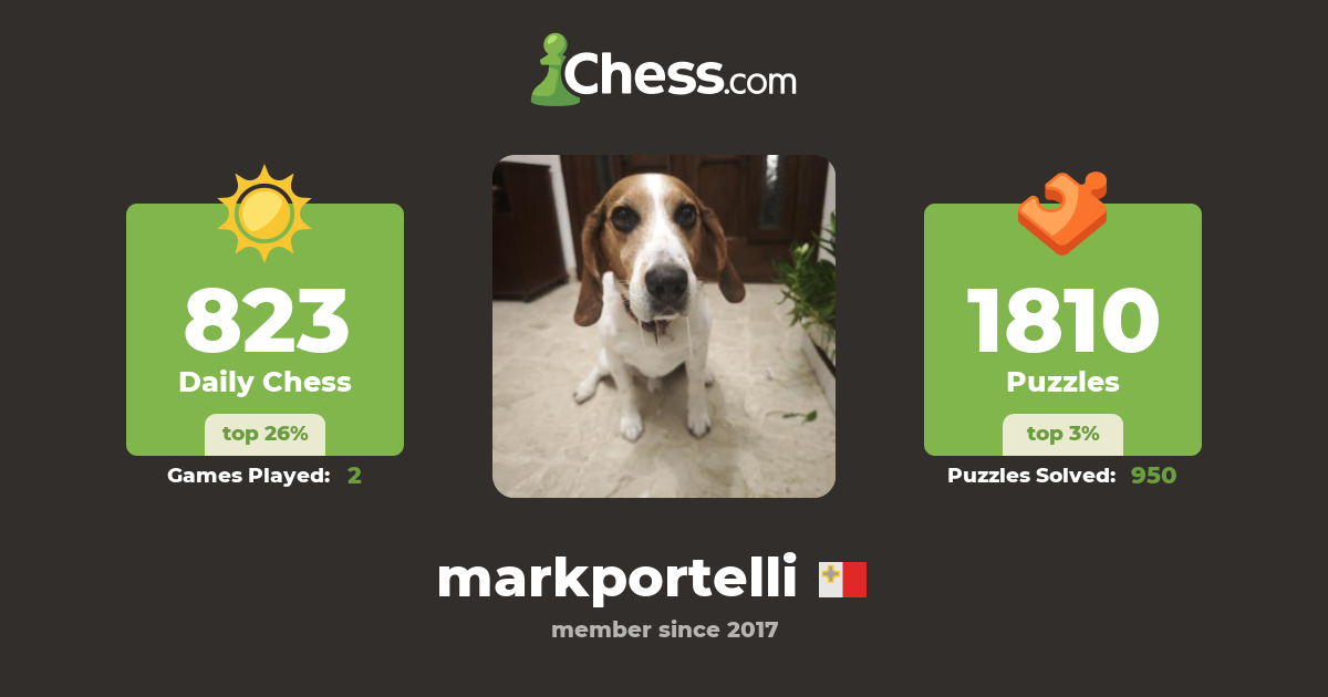 Mark Portelli (markportelli) - Chess Profile - Chess.com