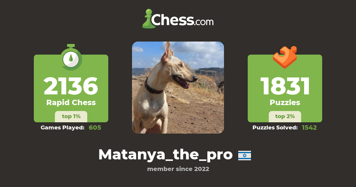 Matanya David (Matanya_the_pro) - Chess Profile - Chess.com