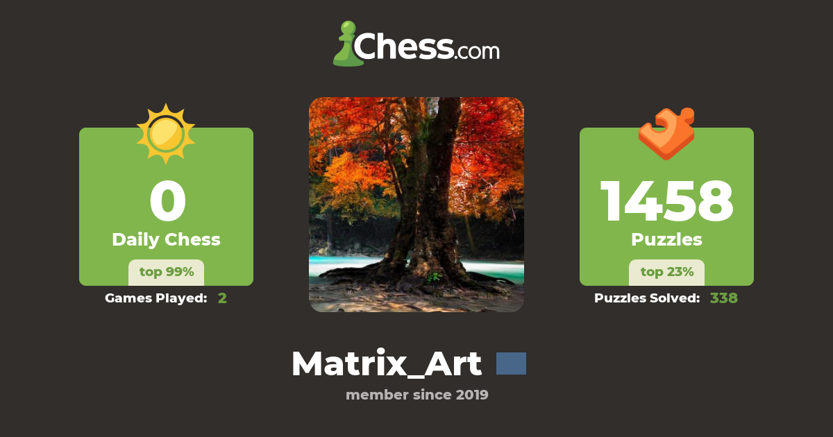 Артем Пугачев (Matrix_Art) - Chess Profile - Chess.com