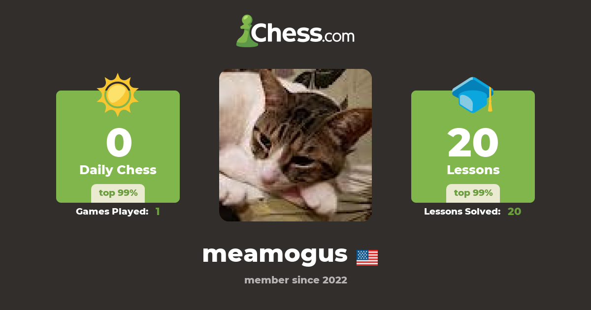Valen Xinrun Miao (meamogus) - Chess Profile - Chess.com