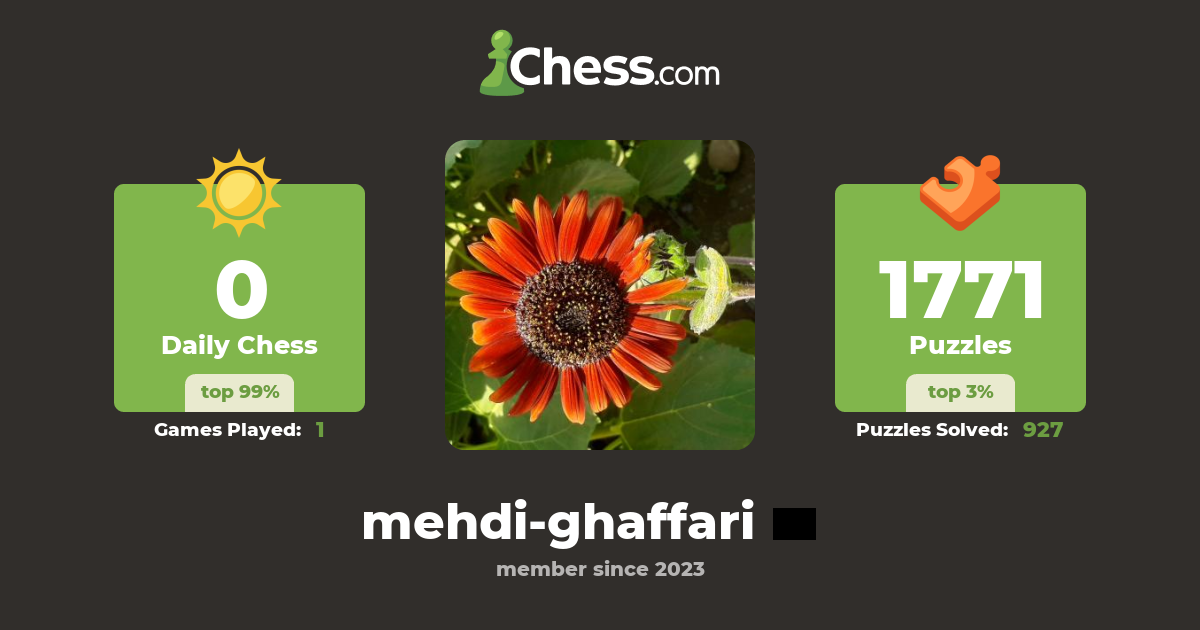 mehdi-ghaffari - Chess Profile - Chess.com
