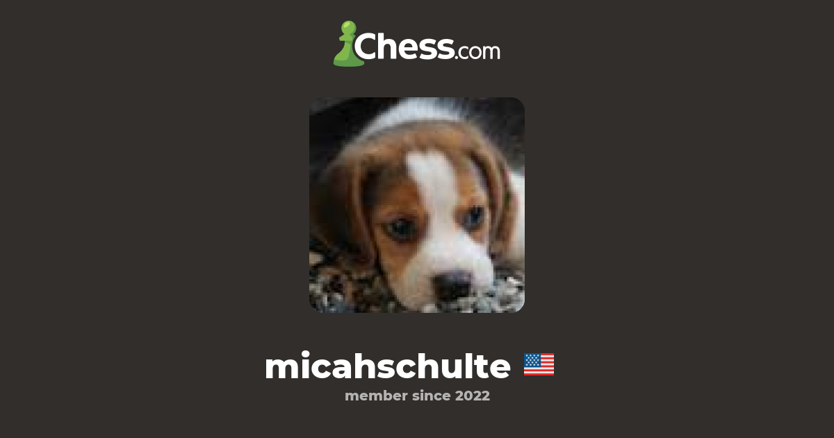 MICAH SCHULTE (micahschulte) - Chess Profile - Chess.com