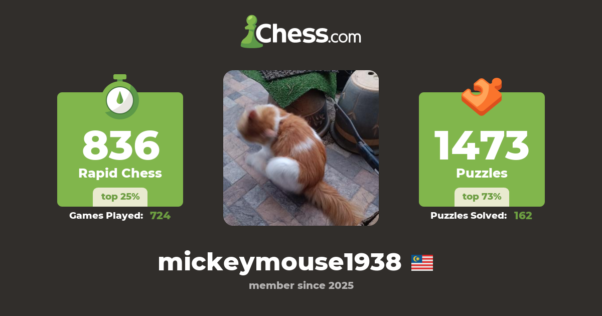 mickeymouse1938 - Chess Profile - Chess.com