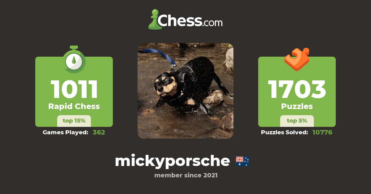 Tim Roche (mickyporsche) - Chess Profile - Chess.com