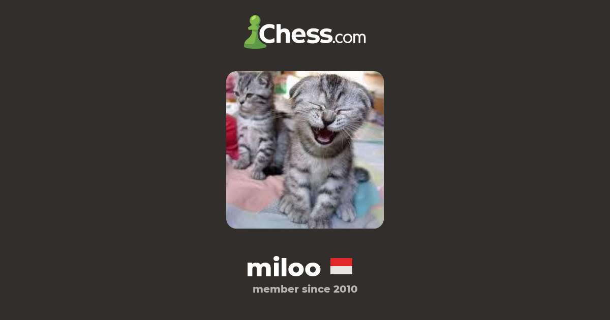 Ferlin Sinta (miloo) - Chess Profile - Chess.com